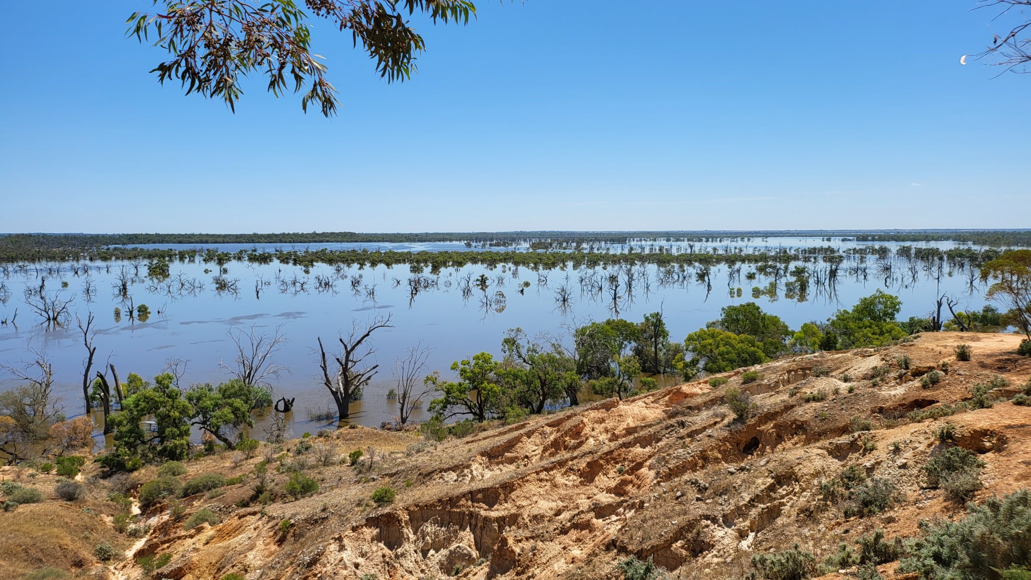 About Bush Tucker – Bush Tucker Recipes at the Aussie table